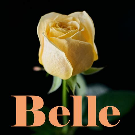 Belle By Miss Mercy Single J Pop Reviews Ratings Credits Song