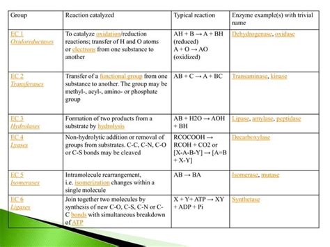 Namingandclassification Ppt