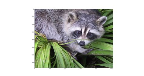 Python Calculating Dual Energy Gradient Using Numpy Stack Overflow