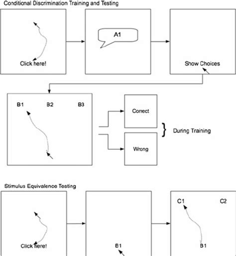 Diagrammatic Representations Of The Procedure During Conditional Download Scientific Diagram