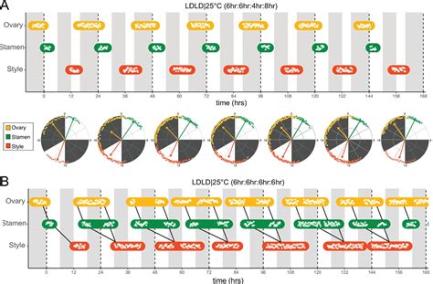 figures and data in the circadian clock controls temporal and spatial