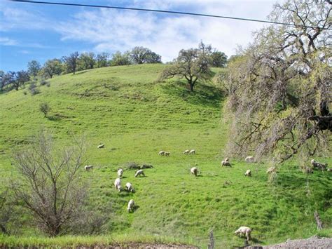Sutter Buttes Yuba City 2021 All You Need To Know Before You Go