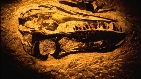Valley Of The T Rex Discovery Uk