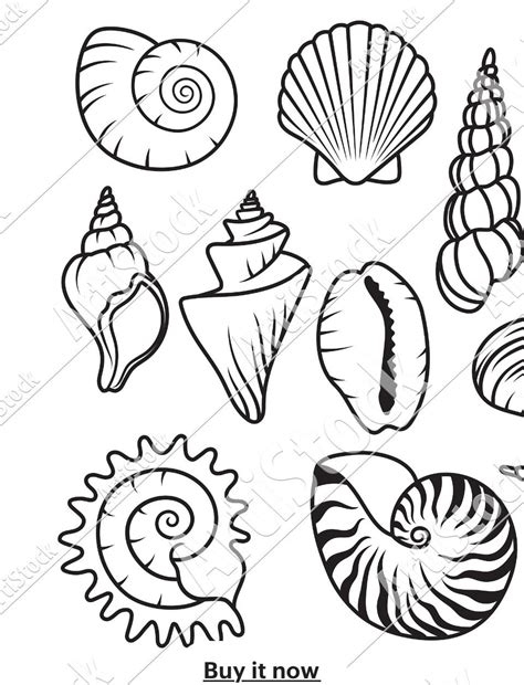 Shell Drawing Cool Coloring Pages Disney Drawings Sketches