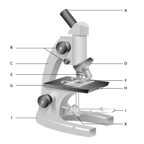 Microscope Labelling Worksheet