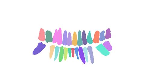 Teeth Segmentation On Dental X Ray Images Dataset Ninja