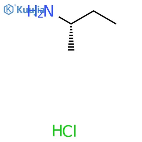 31519 50 3 S 1 Methylpropylamine Hydrochloride