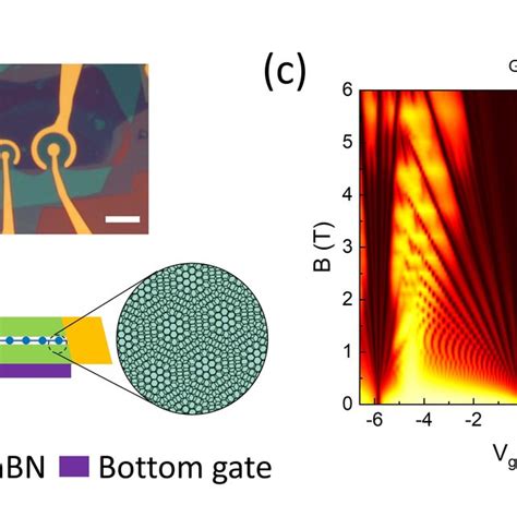 Device Structure And Transport Characterization A Optical Image Of A