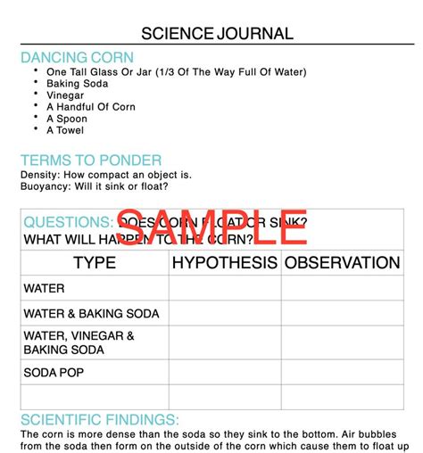 Dancing Corn Science Experiment Journal And Step By Step Instructions Science Experiments