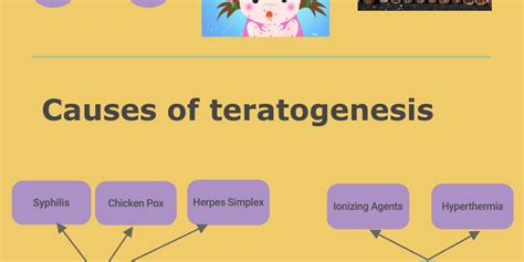 Teratogen Infographic Infogram