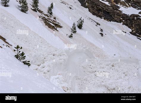 Remains Of Snow Avalanches In A White Cirque De Gavarnie In Late Winter