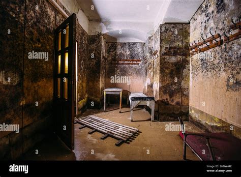 Creepy Abandoned Place Basement Open Door Entrance Image And Photo Free