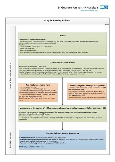 Pdf Irregular Bleeding Pathway Guidelines V20 Sgh · Irregular Bleeding Pathway G E N E R A