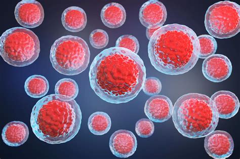 50 Year Mystery Solved Researchers Open “black Box” Of Stem Cell
