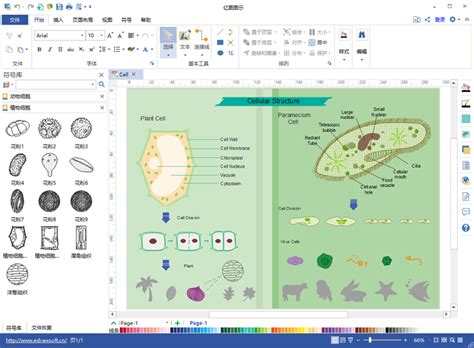 生物细胞示意图绘制软件助力科研绘图