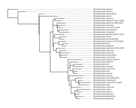 Bioinformatics And Other Bits Two Quick Ways Of Building A Bacterial