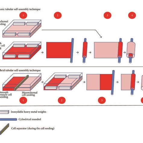 Advantages Of The Reseeding Self Assembly Technique As Compared To The