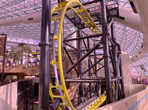 Woman Who Fell From Las Vegas Roller Coaster Is ‘double Amputee The