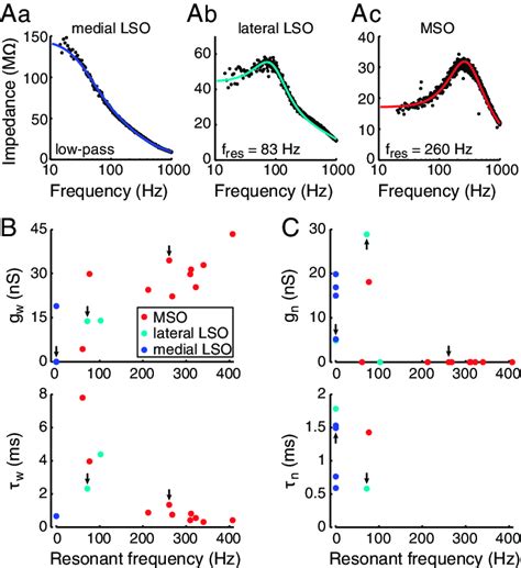 Linear Models Predict Membrane Properties That Underlie Subthreshold