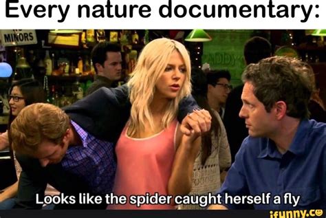Very Nature Documentary Looks Like The Spider Caught Herself A Fly