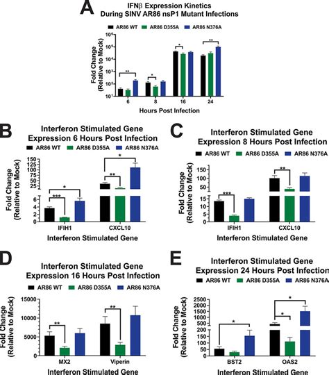 Production Of Type I Interferon And Isgs In Response To Sinv Nsp1