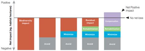 steps of the mitigation hierarchy a process in which it is determined