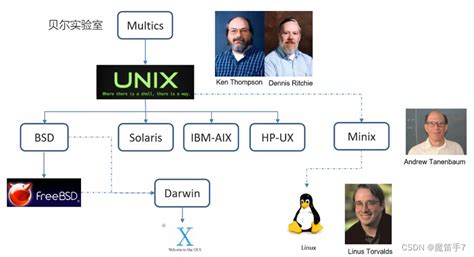 linux操作系统 linux概述 csdn博客