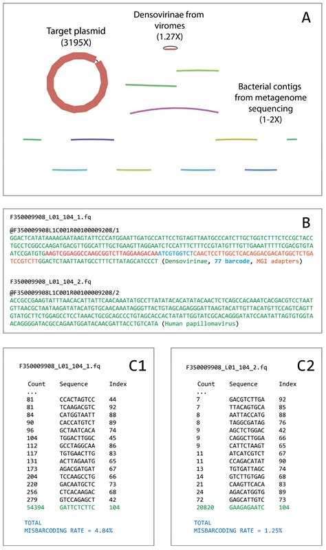 Analysis Of Software Read Cross Contamination In Dnbseq Data