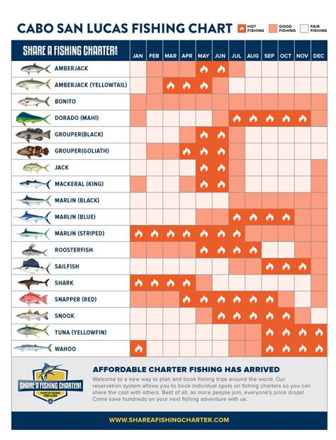 Cabo San Lucas Fishing Season Calendar Cabo San Lucas Fishing Cabo