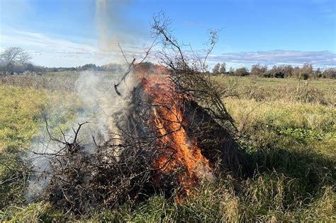 Det är Inte Längre Tillåtet Att Elda Grenar Och Löv I Trädgården Natursidan