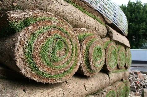 Sod Installation In Calgary Instant Lawn Specialists