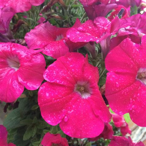 Random Stuff On Tumblr