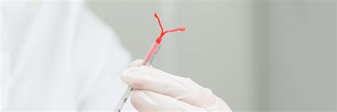 The Step By Step Guide To A Safe And Stress Free Iud Removal Lubracil