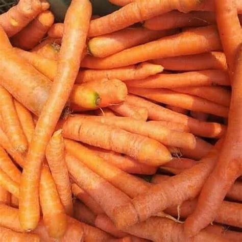 Jual Wortel Lokal 500gr Shopee Indonesia