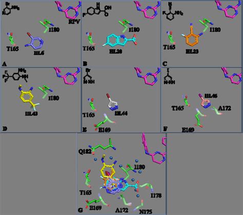 Nnrti Adjacent Site Panels A G Show Halo Library Fragments As Download Scientific Diagram