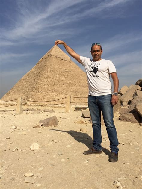 GitHub Hajonsoft Hajonsoft Tiger Home For Dove And Humming Bird