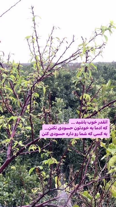 زندگی خوب Youtube