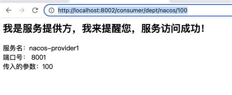 Nacos微服务实践 服务的生产者消费者 月小升网络笔记
