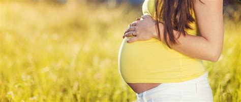 Conocer El Sexo De Tu Beb A Las Semanas De Gestaci N