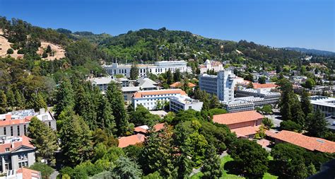 Why We Love Optometry And Vision Science Uc Berkeley School Of Optometry