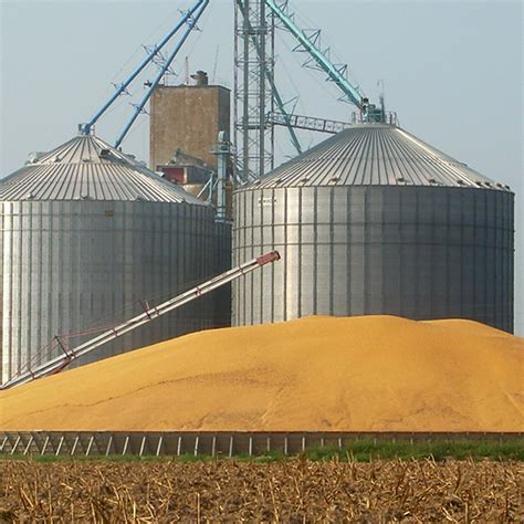 Hazardous Location Lighting For Grain Processing Grinsafe