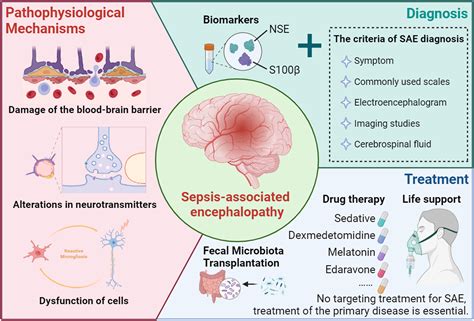 Recent Advances In The Pathogenesis Diagnosis And Treatment Of Sepsis