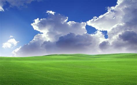 Windows Xp Basic Wallpapers Hd Wallpaper Cave