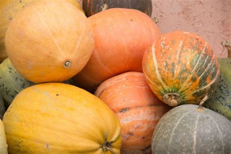 Kako Bundeva Utiče Na Nivo šećera U Krvi I Koliko Dnevno Sme Da Pojede Osoba Sa Dijabetesom