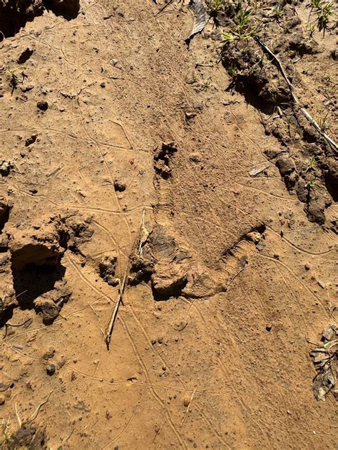 Hunter Robison Smalltown Hunting Properties And Real Estate Added A New Hunter Robison