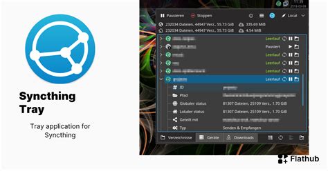 Install Syncthing Tray On Linux Flathub
