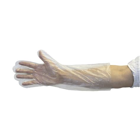 Gdpe Lg 18 Powder Free Polyethylene Gloves Pursuit Packaging