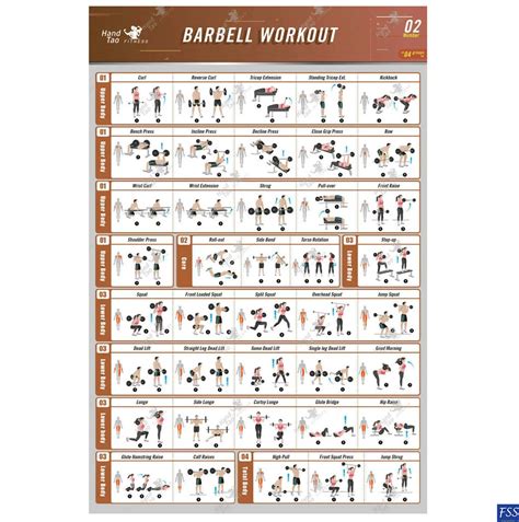 Best Bodybuilding Exercises Chart