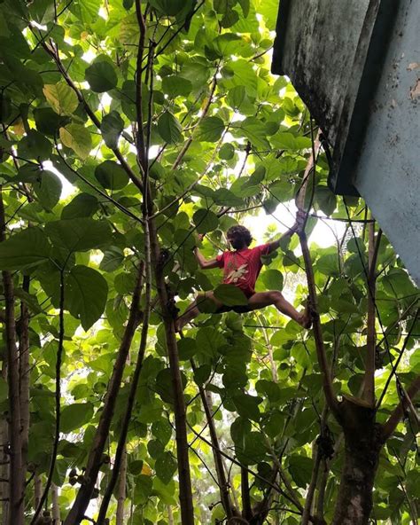 Rafael Federman Referencia Anatómica Referencias