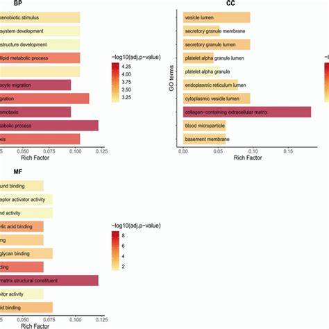 Heatmap And Volcano Map Of Differentially Expressed Genes Degs